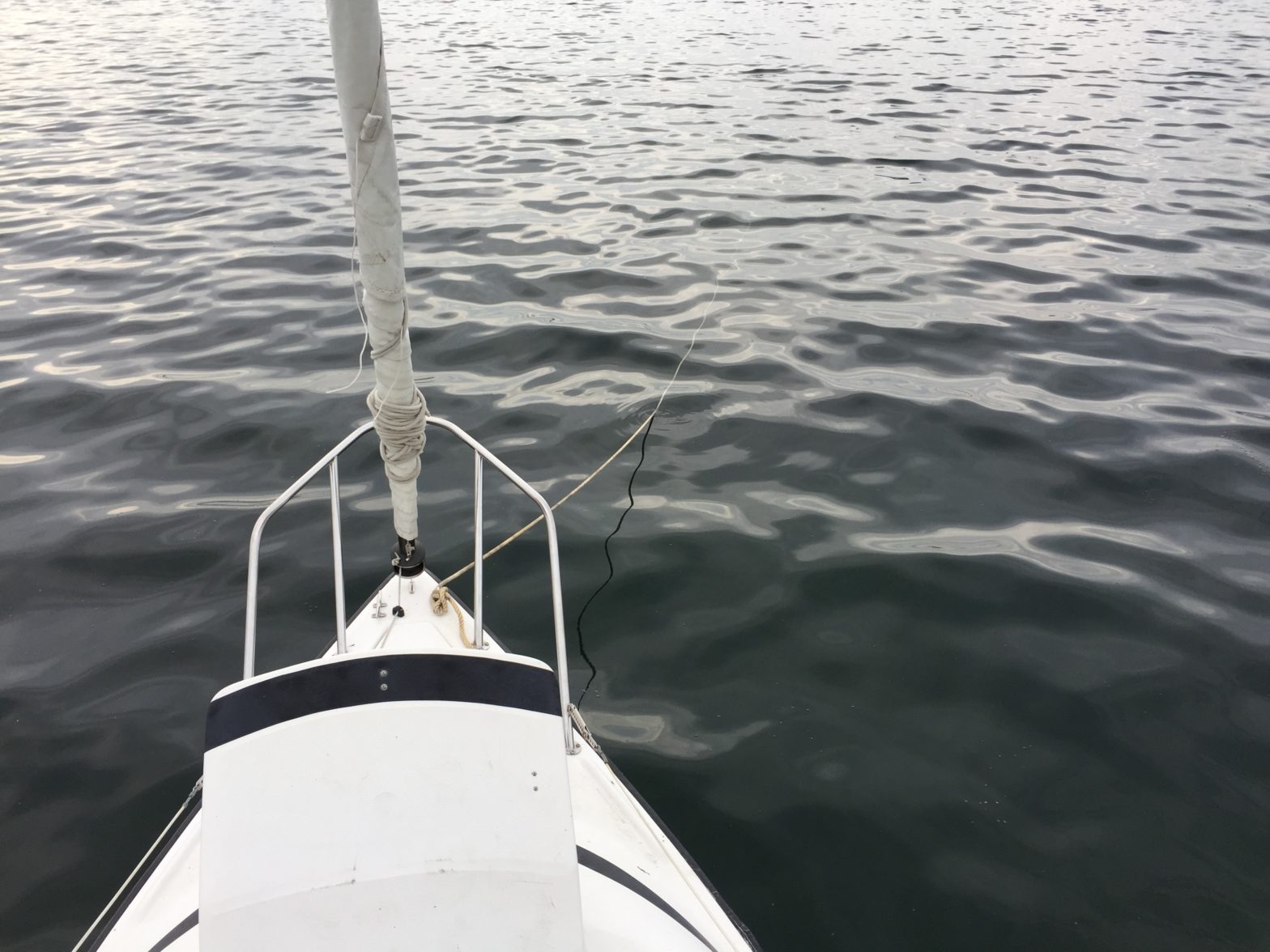 Thousand Islands – Mulcaster Island – Foghorn Lullaby