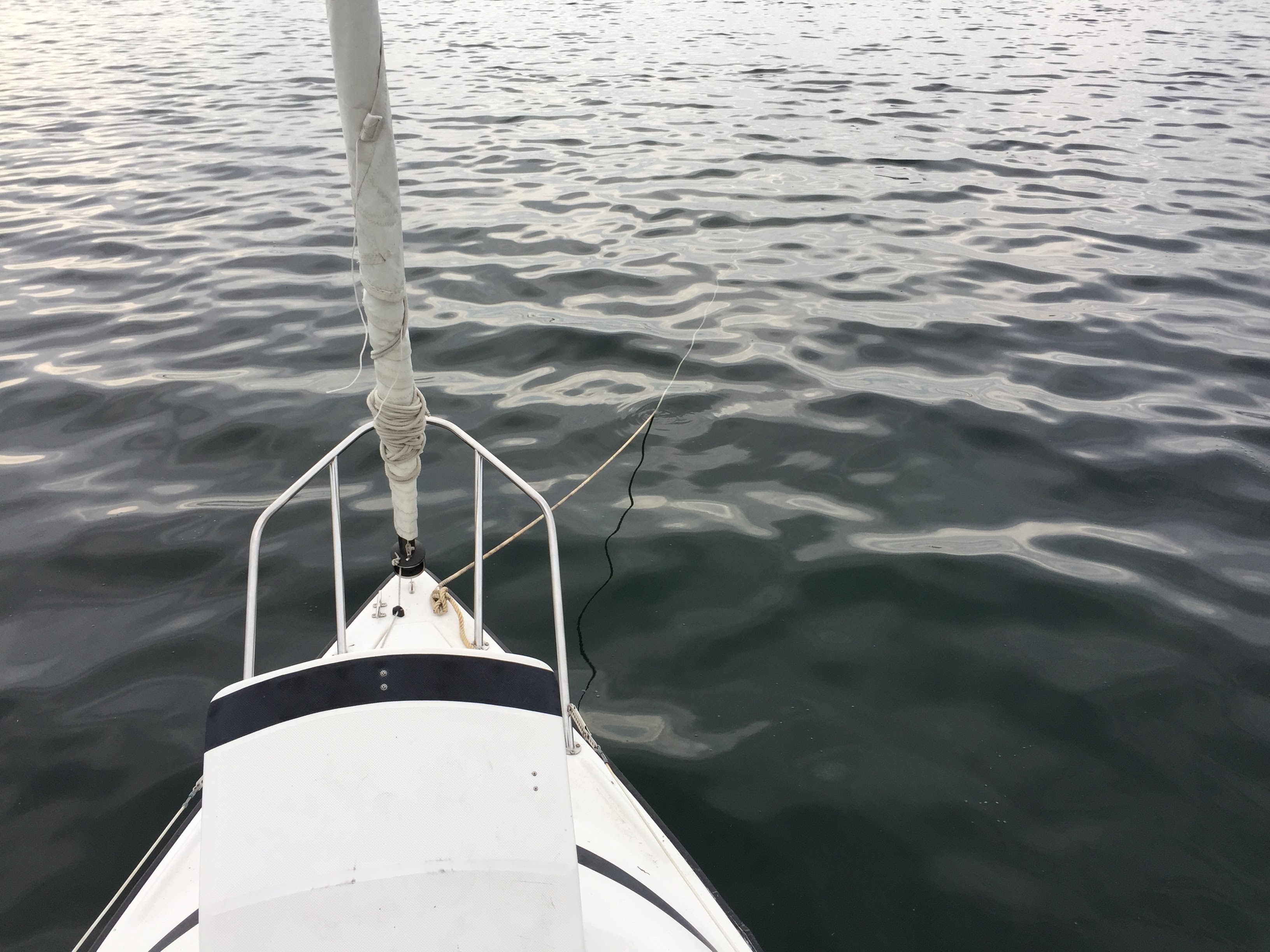 Thousand Islands – Mulcaster Island – Foghorn Lullaby